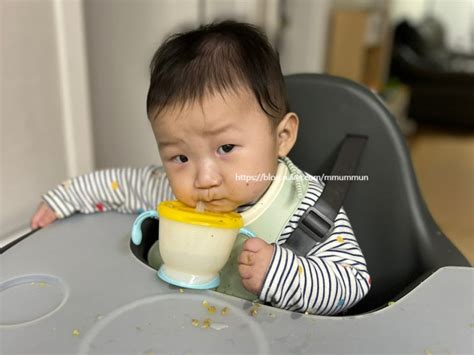 살림 육아 일기 6개월 아기 초기 토핑 이유식 시작 준비물 리스트 네이버 블로그