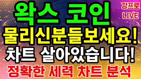 왁스 코인 🔥수익보실분들 클릭🔥물리신분들보세요🔥차트 살아있습니다🔥정확한 세력 차트분석🔥오브스 코인 메타디움 코인