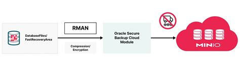 Oracle Rman To Minio Backup