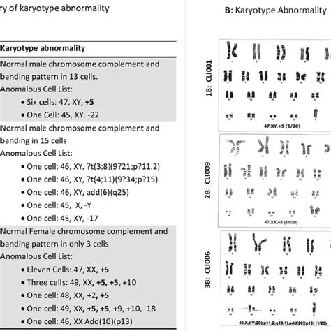 Mscs Batches With Abnormal Karyotype Three Cli PatientÀderived Msc Download Scientific Diagram
