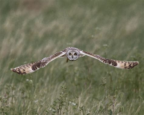 Las fotos más asombrosas del concurso de National Geographic Like Infobae