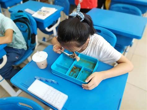 【队活动】我‘光盘，我光荣，拒绝浪费齐行动——锦绣城小学“光盘行动”主题教育活动 搜狐大视野 搜狐新闻