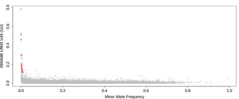 Variant Minor Allele Frequency Versus Absolute Effect Size For The 28