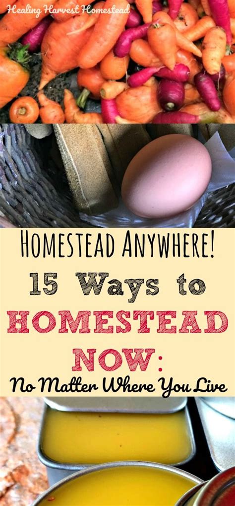 15 Homestead Skills To Learn No Matter Where You Live Plus 5 Mental