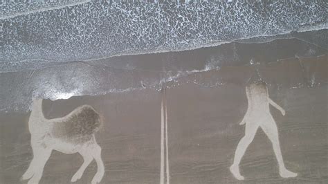 그린피스 60m 높이 모래 그림으로 기후 변화에 따른 생태계 파괴 경고 Greenpeace Korea 그린피스