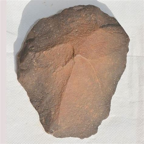Paleolithic Hand Axe Lower Acheulean 175 Cm Catawiki