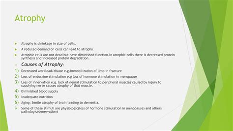 Cell Adaptations Pptxcell Adaptations Pptx