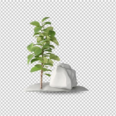 Premium Psd Tropical Plant And Tree Mockup Premium Psd Tropical Plant And Tree Mockup