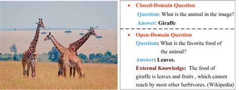 171200733 Incorporating External Knowledge To Answer Open Domain