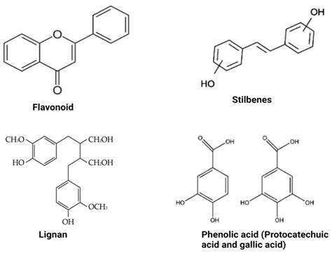 Polyphenols In Diet And Their Biological Significance Encyclopedia Mdpi