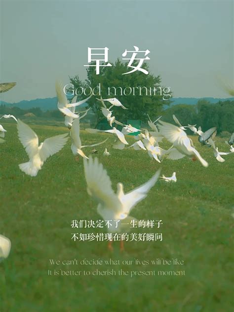 早安日签正能量文案