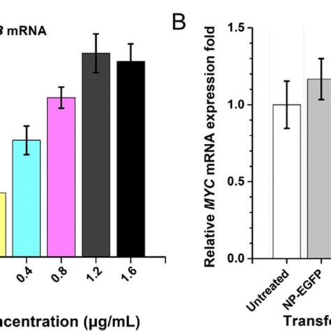 Np Tp53 Shmyc Induced Simultaneous Tp53 Overexpression And Myc Gene