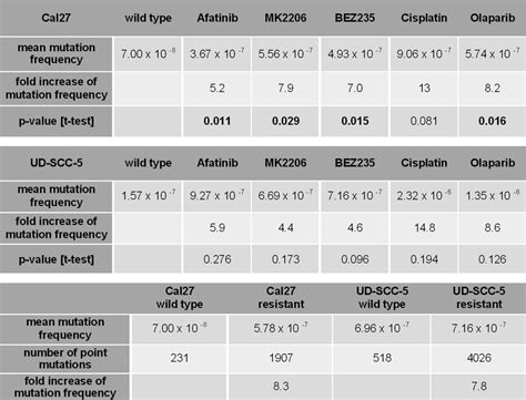 Table Showing The Point Mutation Frequency Determined By Application Of