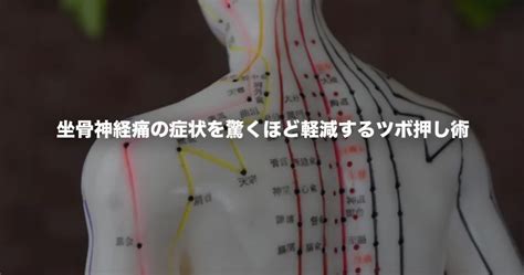 坐骨神経痛はどこが痛いか分からない方必見！セルフチェック方法 逗子市の桜山鍼灸整体整骨院