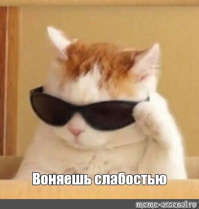 Meme: "Воняешь слабостью" - All Templates - Meme-arsenal.com