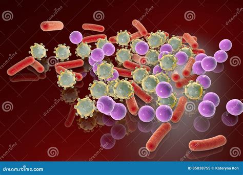 Microbes Of Different Shapes Stock Image CartoonDealer 85838755
