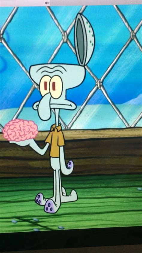 Me In Math Video Cartoon Wallpaper Spongebob Funny Spongebob Wallpaper