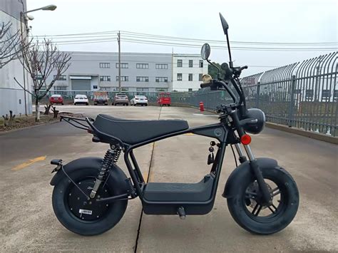 Skyteam Eec E5 Ce 1200w Mini Electric Scooter Urban E Bike