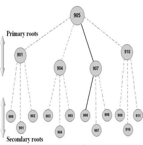 Modified Search Tree Formation Download Scientific Diagram
