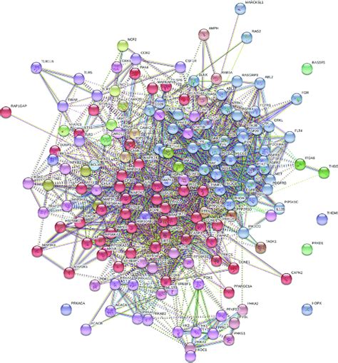 Markov Cluster Of Significant Proteins In The Ileum Ileal Download Scientific Diagram