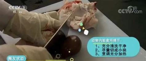 吃动物内脏有害健康？能不能放心吃？今天告诉你真相含量营养学维生素