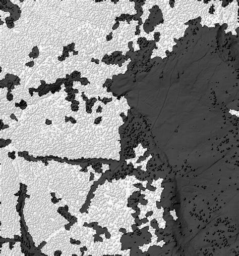 Opals Orientation And Processing Of Airborne Laser Scanning Data