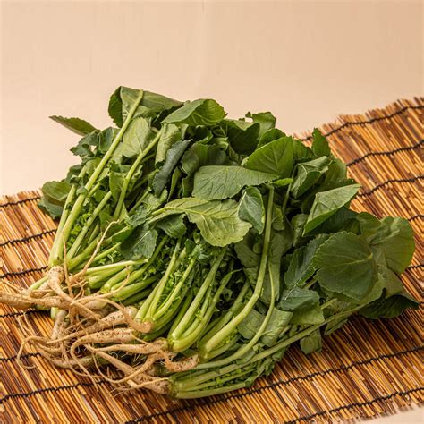 연한 애기열무 1봉지 [한민 호진네야채] 배민 장보기∙쇼핑