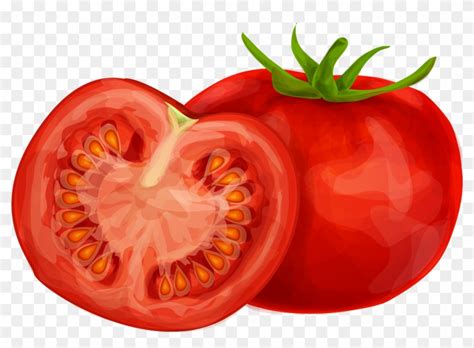 Tomato Slice Clip Art