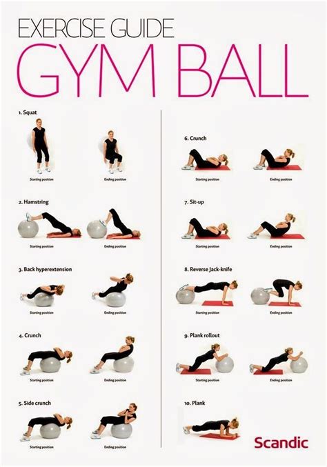 What Are The Best Exercise Balls Warmupsets Gym Ball Exercises