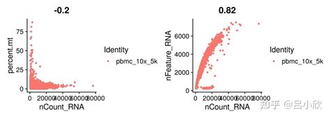 跟着小白使用docker学习seurat单细胞数据分析 知乎