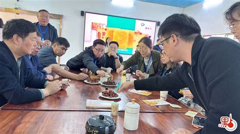 海外華媒年會｜兩棵「母樹」帶動50億生意 參訪團倡打造品牌推廣「深閨」黃皮 环球评报新闻网