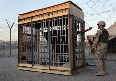 Us Contractor Found Liable For Abu Ghraib Torture Ordered To Pay 42m