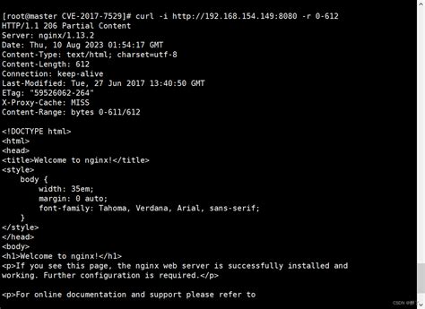 Nginx服务漏洞复现 tengine漏洞 CSDN博客