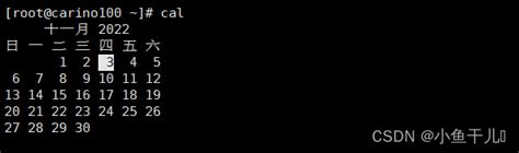 linux从入门到实战 时间日期类 linux系统精确时间分秒 csdn博客
