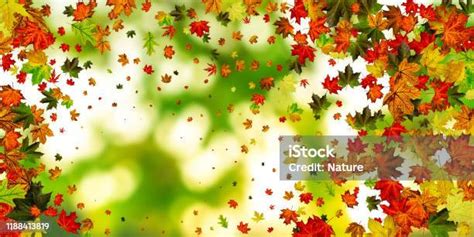 가을 배경입니다 떨어지는 10 월 은 화려한에 고립 된 나뭇잎 시즌 컨셉 0명에 대한 스톡 사진 및 기타 이미지 0명 10월 11월 Istock