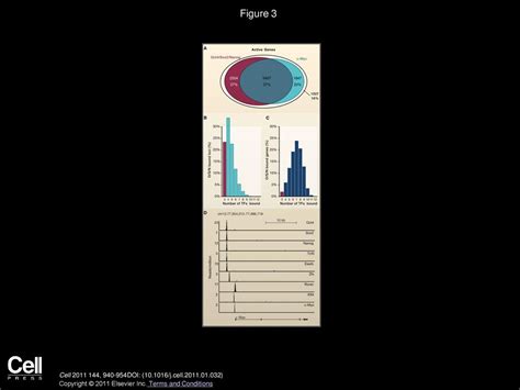 Control Of The Embryonic Stem Cell State Ppt Download