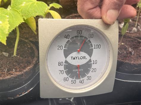Grandpa Needs Help Rgardening