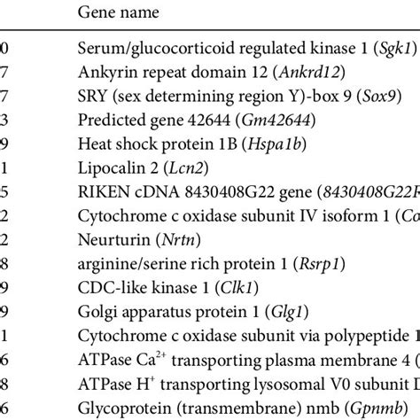 Differentially Expressed Mrnas In The Spinal Cord After Sciatic Nerve