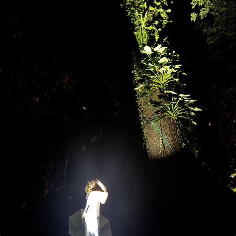 Chocolate Art A Match Made In Heaven Indulge In This Decadent Buffet On Your Next Voyage