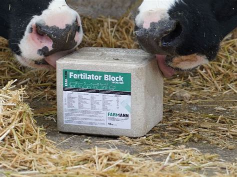 Fertilator Block
