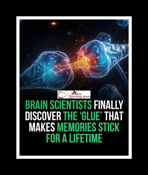 Aura Technology On Linkedin Aitechnology Artificialintelligence