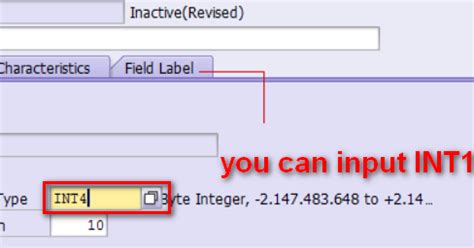 Sap Abap Central Integer In Abap Java And Javascript