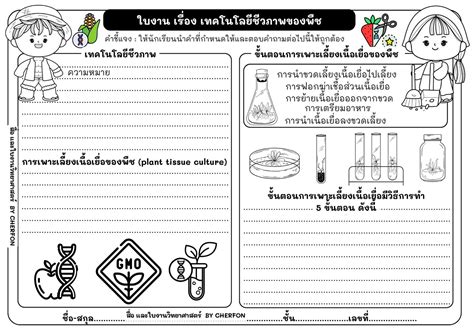 สื่อ สื่อ และใบงานวิทยาศาสตร์ By Cherfon