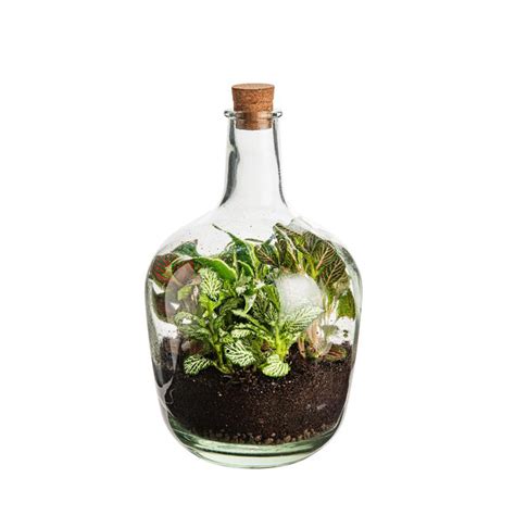 Terrarium java Bulle de nature Ø 18 x 30 cm