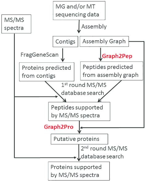An Overview For Protein Identification Using Metaproteomic Data With