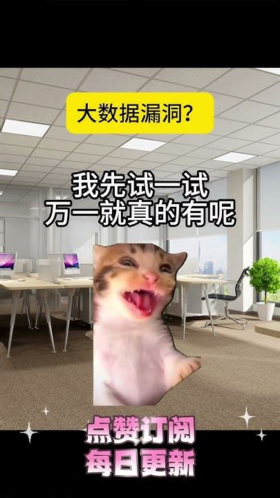 啊？大数据漏洞？ 猫meme 搞笑 Funny 沙雕剧情 猫meme小剧场 高能段子手 小剧场 Catmeme 搞笑視頻 Youtube