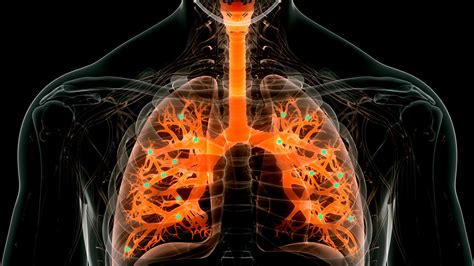 Nanoparticles Target Lung Disease Mit Technology Review