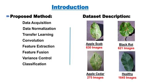 Classification Of Apple Diseases Through Machine Learning Ppt