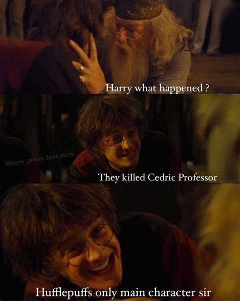 35 Funniest Harry Potter Memes Delivered By Owl This Week