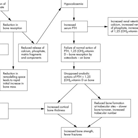 Pdf Bisphosphonate Treatment Of Bone Disease